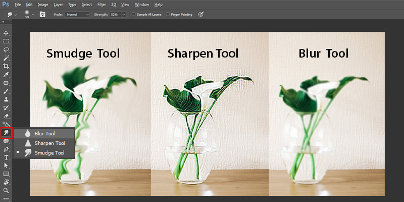 A Guide for Beginners on Photoshop Tools- MAPSystems